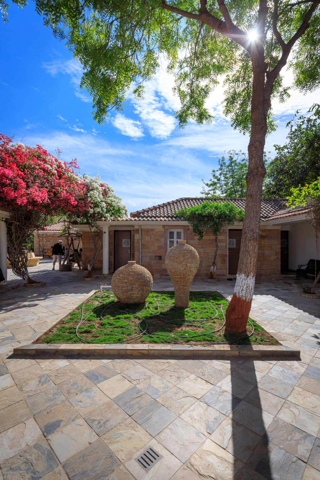 Navjivan Nature Cure: Gallery of Wellness, Holistic Activities, Cuisine